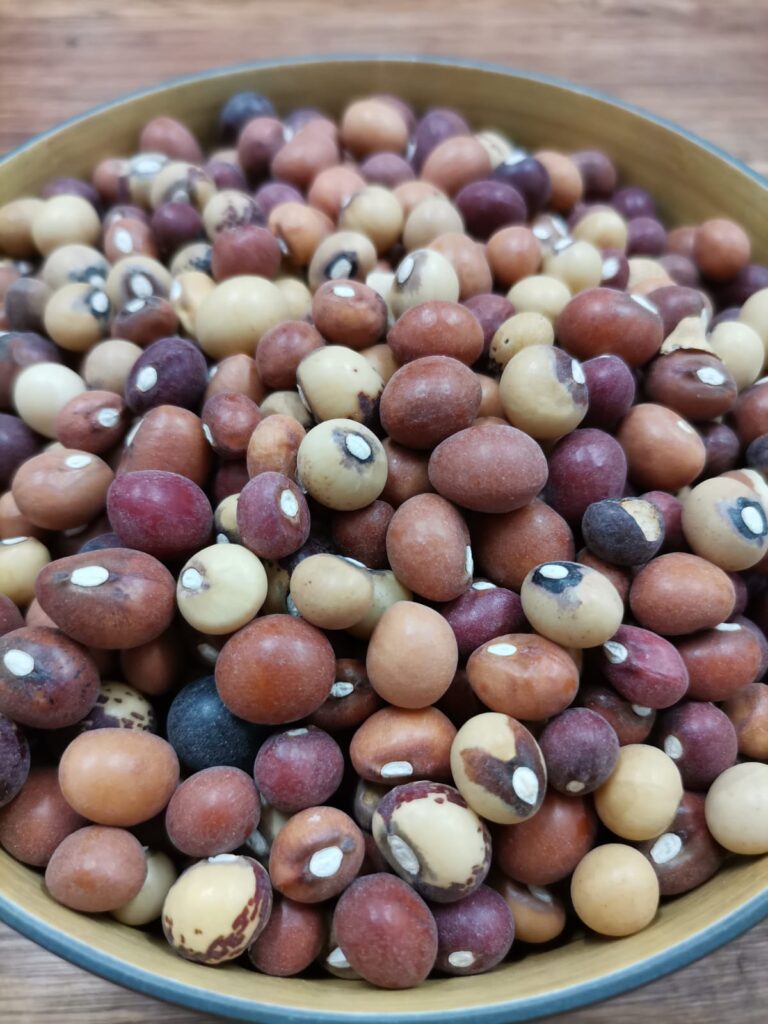 Jugo Beans - Nutting But Goodness