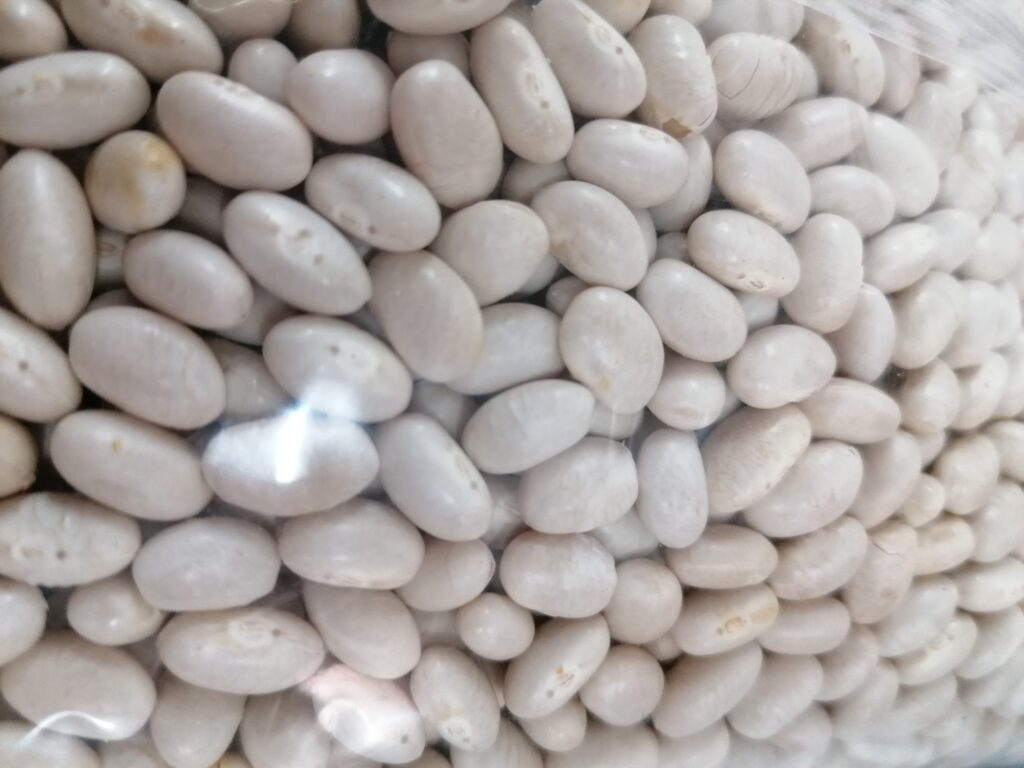 Small White Beans - Nutting But Goodness